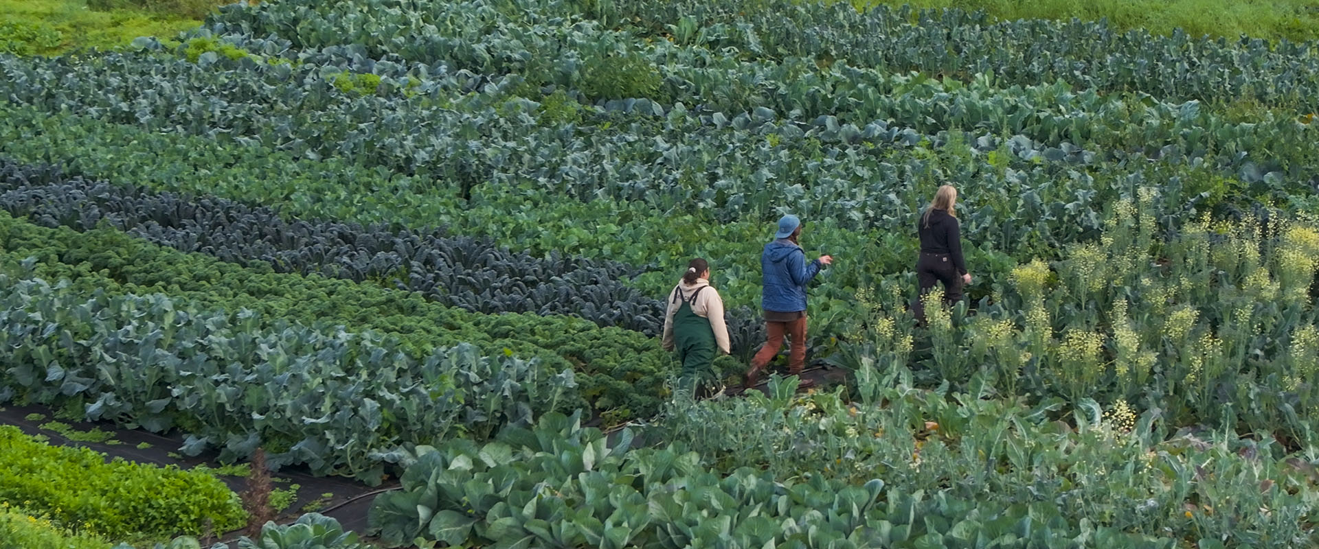 Training & Tools | Alaska Pacific University