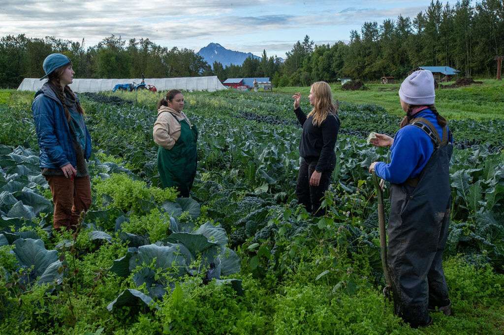 Kellogg Campus Programs | Alaska Pacific University