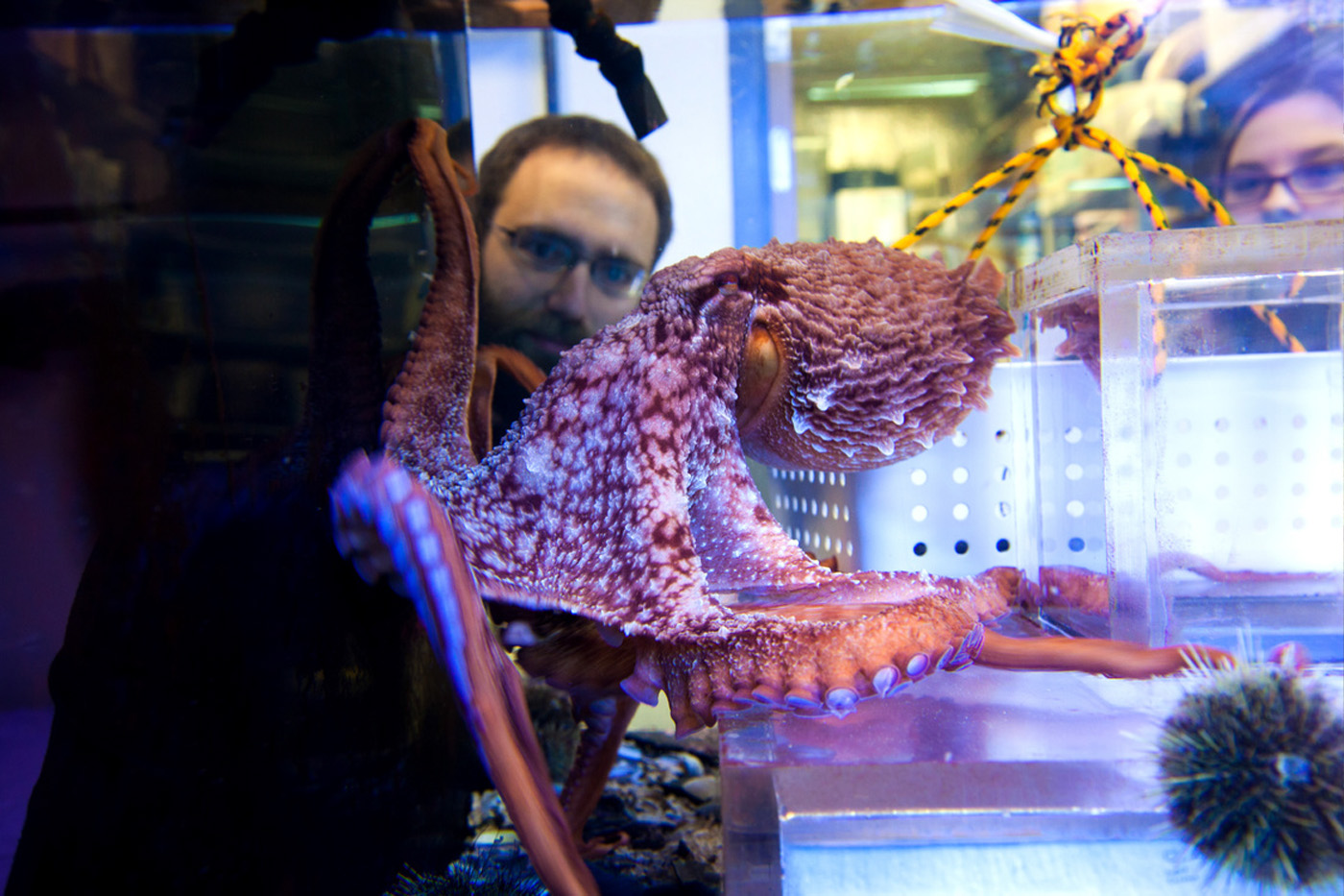 Marine & Environmental Sciences | Alaska Pacific University