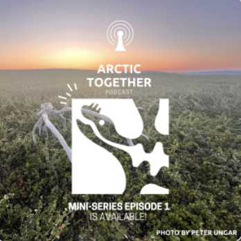 Arctic Together Podcast FILR CWG Mini-series: Indigenous-led ...